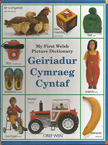Geiriadur Cymraeg Cyntaf: My First Welsh Picture Dictionary: Amazon.co ...