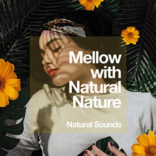Play Mellow with Natural Nature by Natural Sounds on Amazon Music