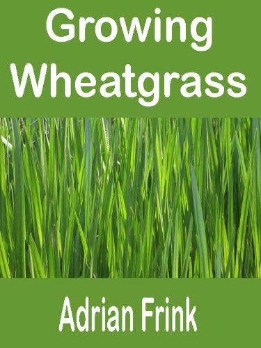 Growing Wheatgrass: How to grow wheatgrass and the benefits of ...
