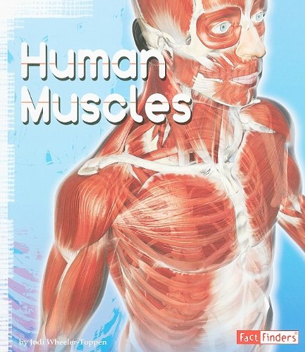 Human Muscles (Anatomy Class) : Wheeler, Jodi Toppen: Amazon.co.uk: Books