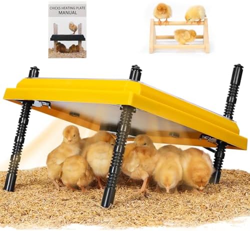 Amazon.com : NesCozy Brooder Heating Plate for Chicks Adjustable: with ...