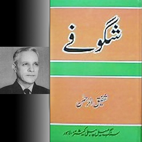 Amazon.com: Patras Kay Mazameen (Audible Audio Edition): Patras Bukhari ...