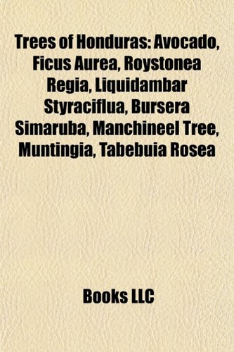 Trees of Honduras: Avocado, Ficus aurea, Roystonea regia, Liquidambar ...