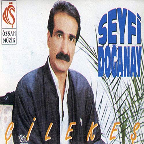 Amazon.com: Çilekeş [Clean] : Seyfi Doğanay: Digital Music