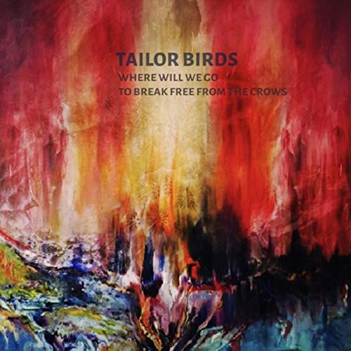 Amazon.com: Where Will We Go to Break Free from the Crows : Tailor ...