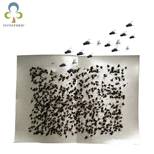 Meet Trends 30pcs/lot Strong Flypaper sticky fly paper Flytrap Green ...