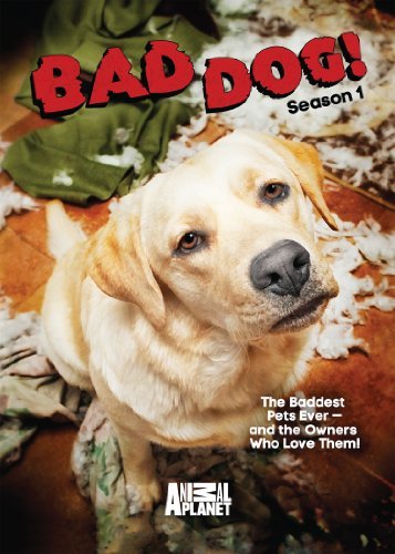 Amazon.com: Bad Dog! - Season 1 : Movies & TV
