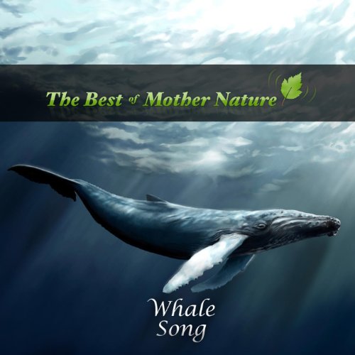 Amazon.com: Whale Song - Nature Sounds Cd : Best of Mother Nature ...