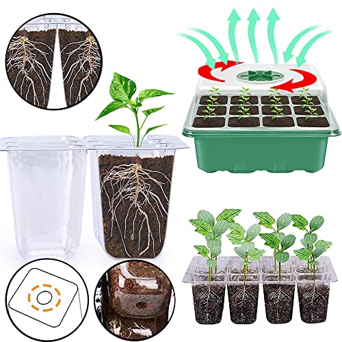Indoor Greenhouse Propagation Greenhouse Pack of 5 Mini Greenhouse ...
