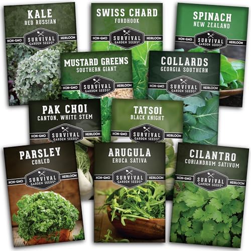 Amazon.com : 10 Power Greens Seed Collection - Grow Green Leafy Veg ...
