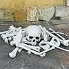 Amazon.com : MOOMARTO 28PCS Plastic Skeleton Skulls and Bones, Bag of ...