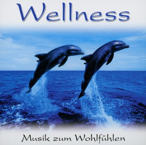 Wellness, 1 Audio-CD (Best.-Nr.5210): Musik zum Wohlfühlen : Various ...