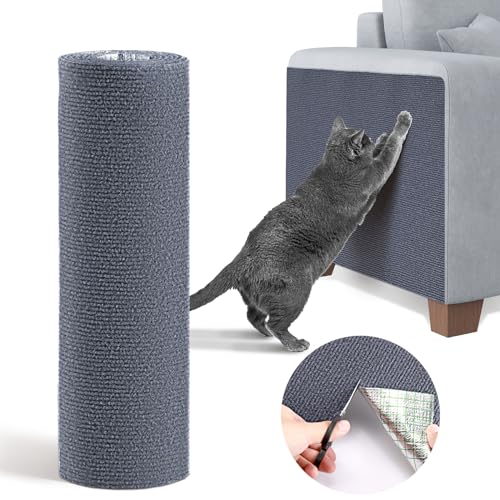 Cat Scratch Show – The 15 best products compared - Wild Explained