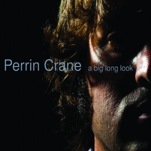 Amazon.com: A Big Long Look : Perrin Crane: Digital Music