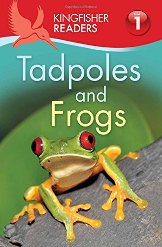 More Than 20 of the Most Fantastic Frog Books for Kids