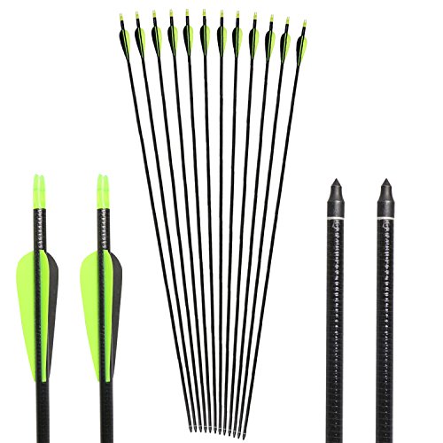 10 Best Arrows For A Recurve Bow In 2021 (Review)