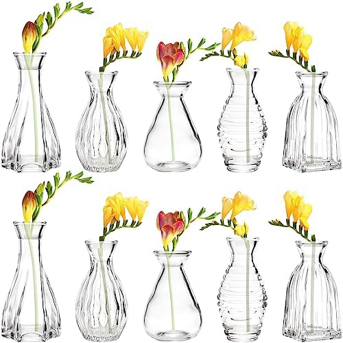 Amazon.com: SOUJOY 10 Pack Small Glass Bud Vase, Mini Flower Vase for ...