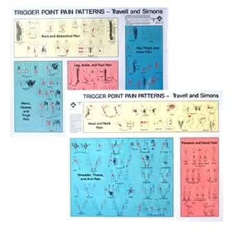 Travell and Simons' Trigger Point Pain Patterns Wall Charts : Travell ...