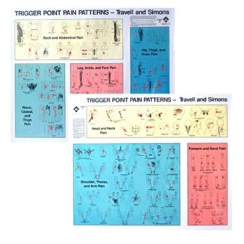 Travell and Simons' Trigger Point Pain Patterns Wall Charts : Travell ...