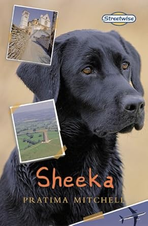 Sheeka (Literacy Land, Streetwise): Pratima Mitchell: 9780582796119 ...