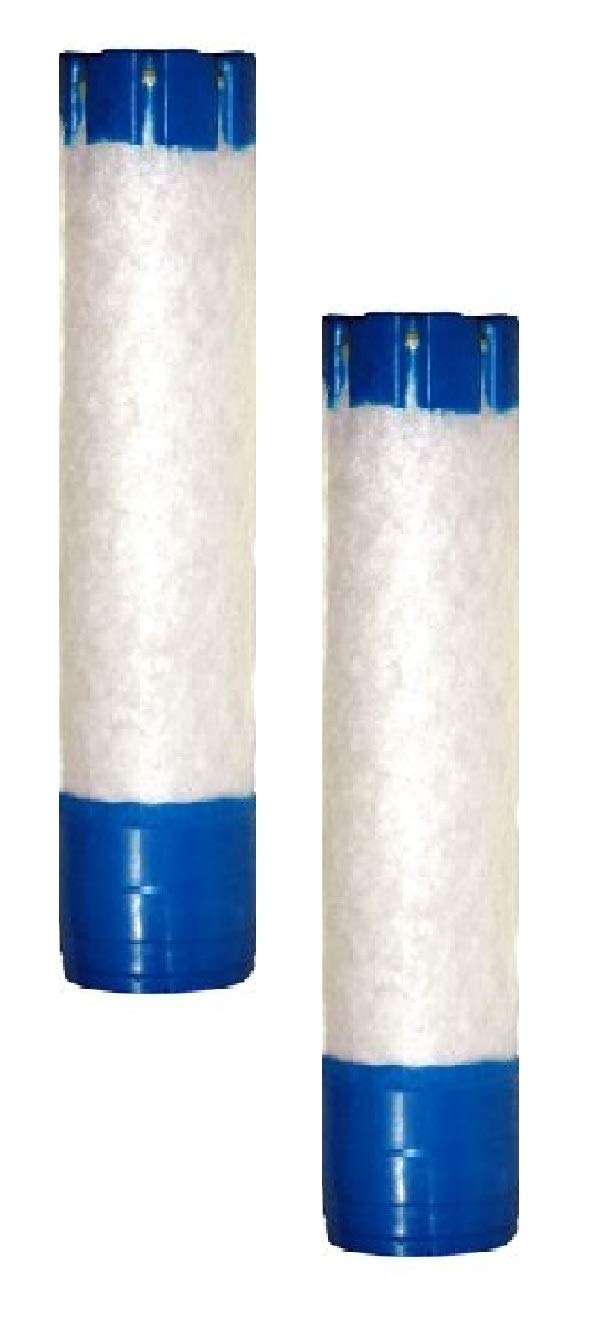 Amazon.com: AF26253 Fleetguard Air Filter Safety (Pack of 2) : Automotive