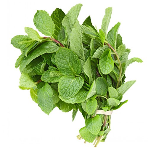 Fresh Mint Leaves (Things You Didn’t Know About Mint) - Suddenly Senior