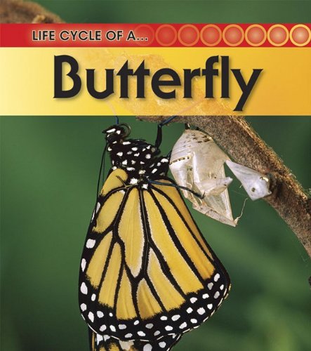 Amazon.com: Life Cycle of a Butterfly: 9781432925390: Royston, Angela ...