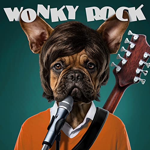 Wonky Rock von VARIOUS ARTISTS bei Amazon Music Unlimited