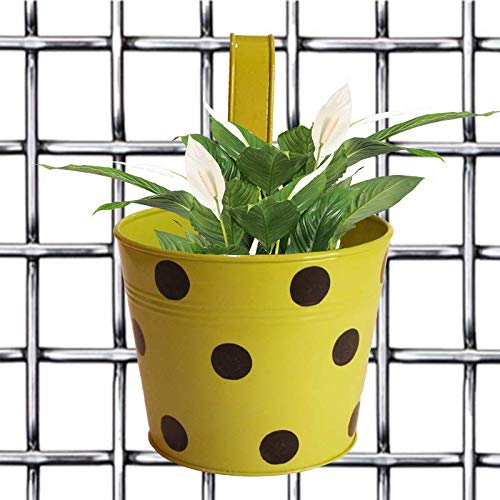 Bingo Pot- Round Dotted Railing Planter- Green : Amazon.in: Garden ...