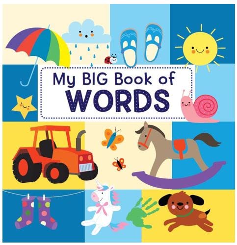 My Big Book of Words - Kids Books - Childrens Books - Toddler Books by ...