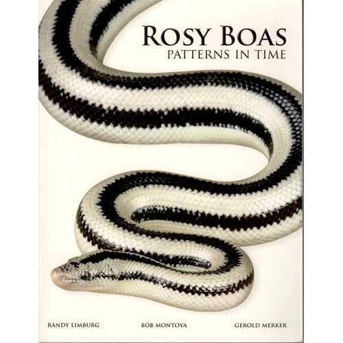 Rosy Boas: Patterns in Time: Bob Montoya, Gerold Merker Randy Limburg ...