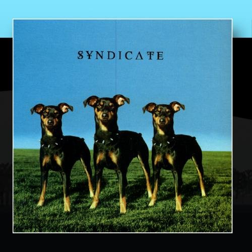 Amazon.com: Syndicate: CDs & Vinyl