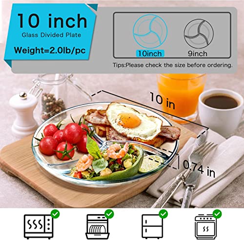 Snapklik.com : NUTRIUPS Portion Control Plate Glass Divided Plate ...