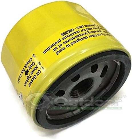 Amazon.com: Briggs & Stratton Genuine OEM 696854 Oil Filter 5P 79589 ...