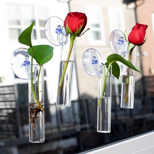 Amazon.com: 10 Pcs Window Propagation Stations Suction Cup Plastic ...