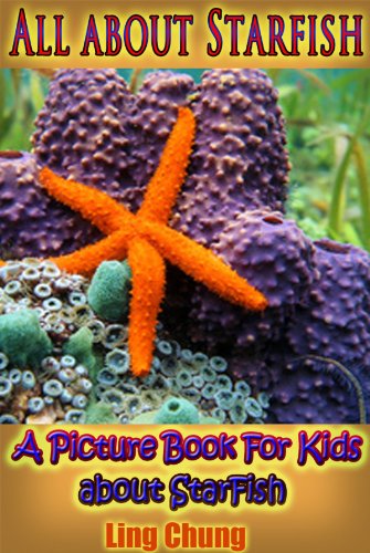 Amazon.com: Children's Book About Starfish: A Kids Picture Book About ...