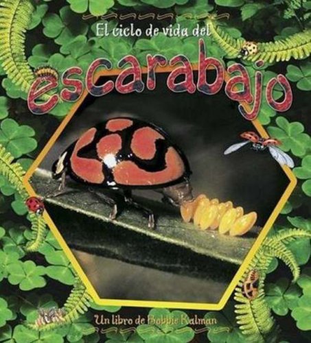 Amazon | El Ciclo De Vida Del Escarabajo/ the Beetle's Life Cycle (Ciclo De Vida / The Life ...