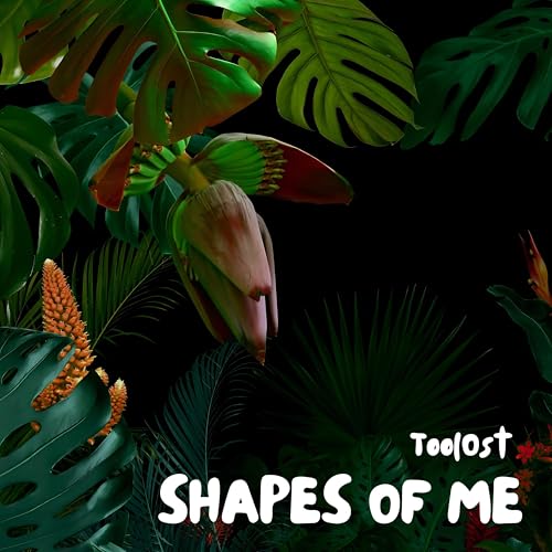 Play Shapes of Me by TOOL OST on Amazon Music