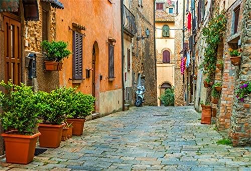 Amazon.com : Yeele 10x8ft Italy Alley Backdrop for Photography Tuscany ...