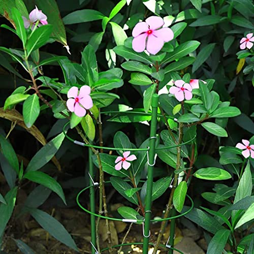 LAOJU Plants Support Cage Garden Plant Support Ring 3 Pack Adjustable ...