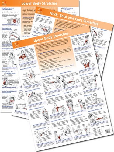 Buy Anatomy of Stretching Posters - Neck/Back/Core Book Online at Low ...