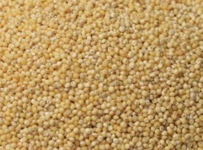 Smarti Combo 100gms + 200 Gms Thinai seeds : Amazon.in: Garden & Outdoors