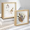 3D Shadow Box Frame 8x8 inch, 2 Pack Picture Frame with Glass for ...