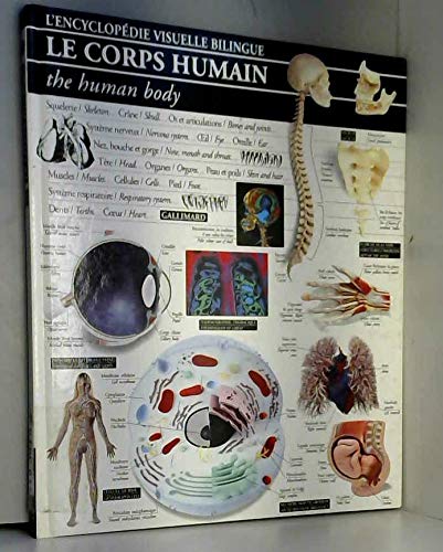 Le corps humain - the human body: l'encyclopedie visuelle bilingue ...