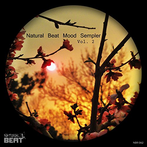 Play Natural Beat Mood Sampler, Vol. 2 by VARIOUS ARTISTS on Amazon Music