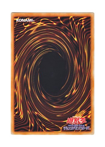 Amazon.co.jp: 遊戯王 日本語版 RIRA-JP077 海外未発売 竜嵐還帰 (シークレットレア) : 本
