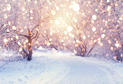 Amazon.com : LFEEY 7x5ft Glitter Snow Wonderland Background Fantasy ...