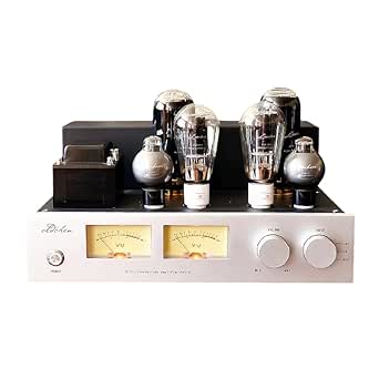 Amazon.co.jp: Jaiyinnlay 300B PUSH 845 HiFi 真空管 アンプ (アップグレード版 シルバー): 家電＆カメラ