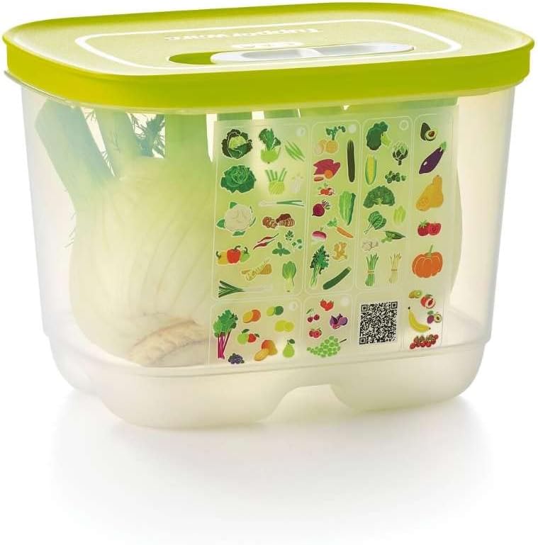 Amazon.com: Tupperware FridgeSmart Food Storage Container - Small Deep ...
