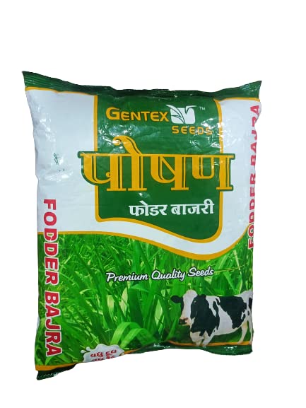 Buy Fodder Bajra Seeds Pearl Millet Seeds 1 KG, (KOG-5) Online at Low ...